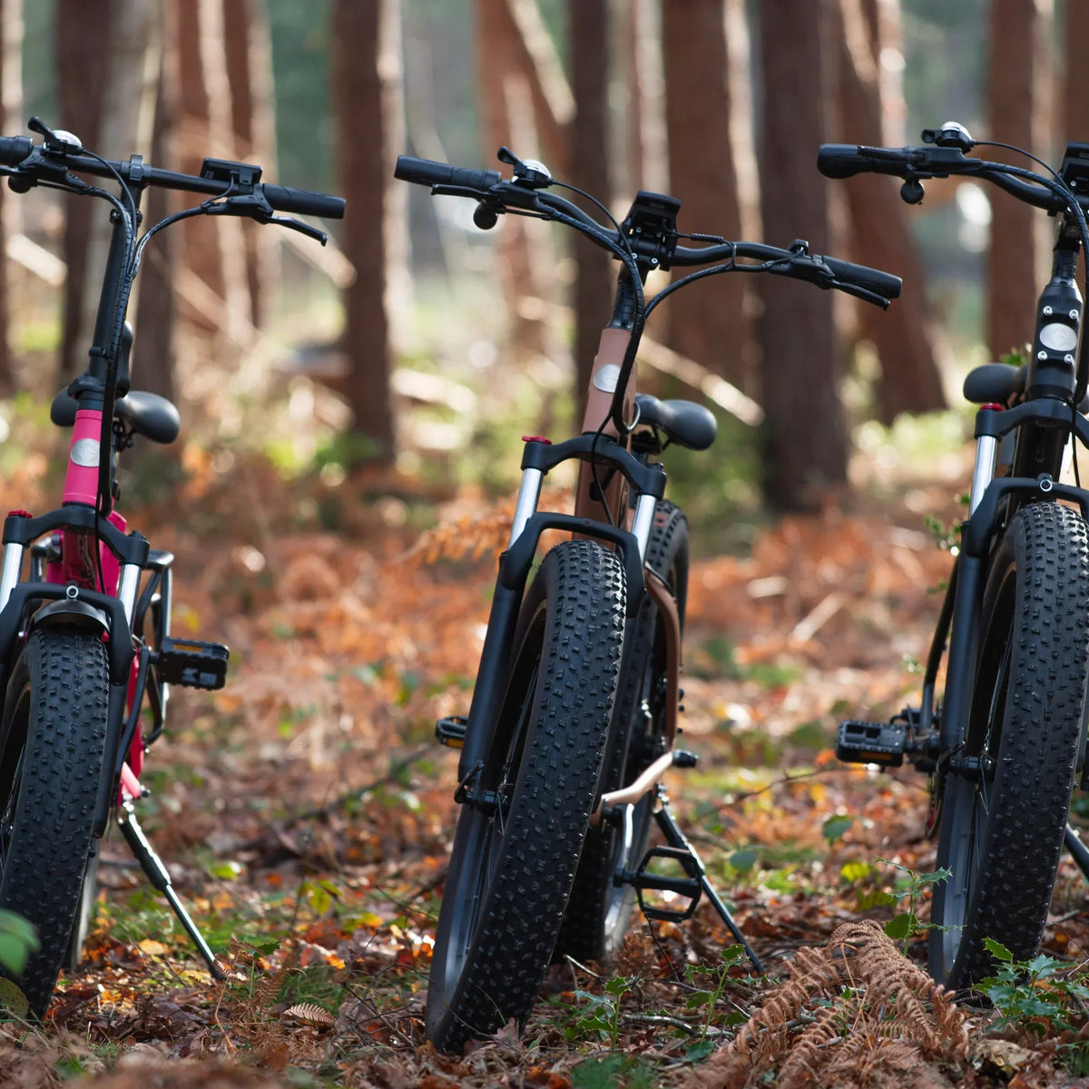 Myth‑Busting: Common Misconceptions About Electric Bikes