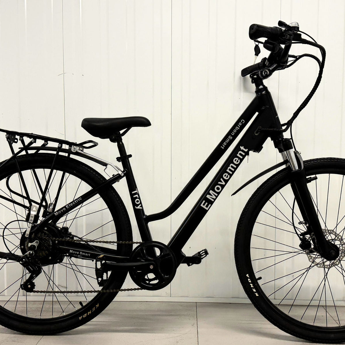 Troy 250W E-bike: Affordable Luxury for Daily Commutes