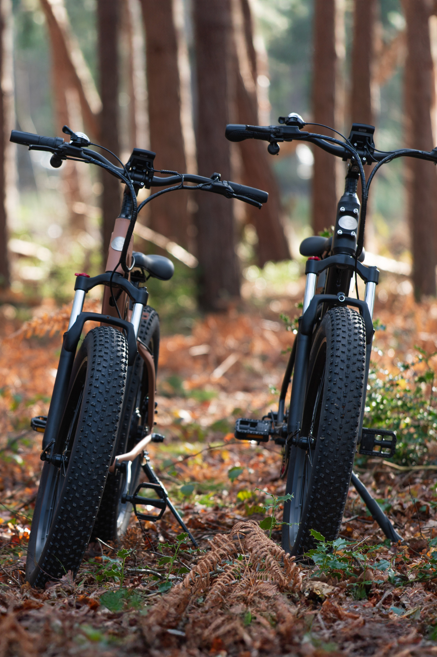 emovement - UK's Leading Electric Bikes Brand Since 2018 – e movement